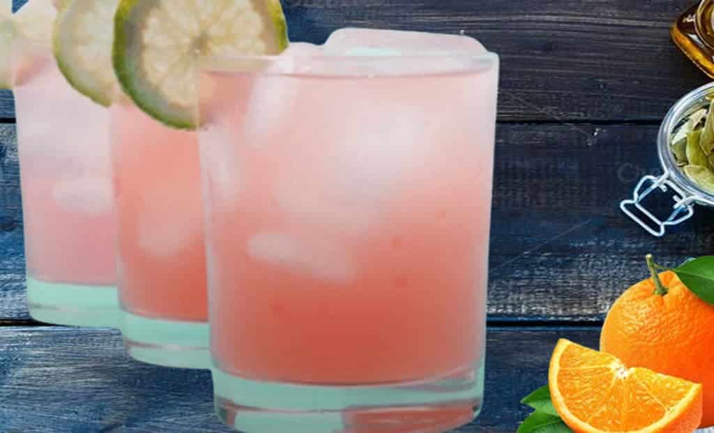 Make Gin Blossom Drink Texas Roadhouse Recipe Just 5 mins!